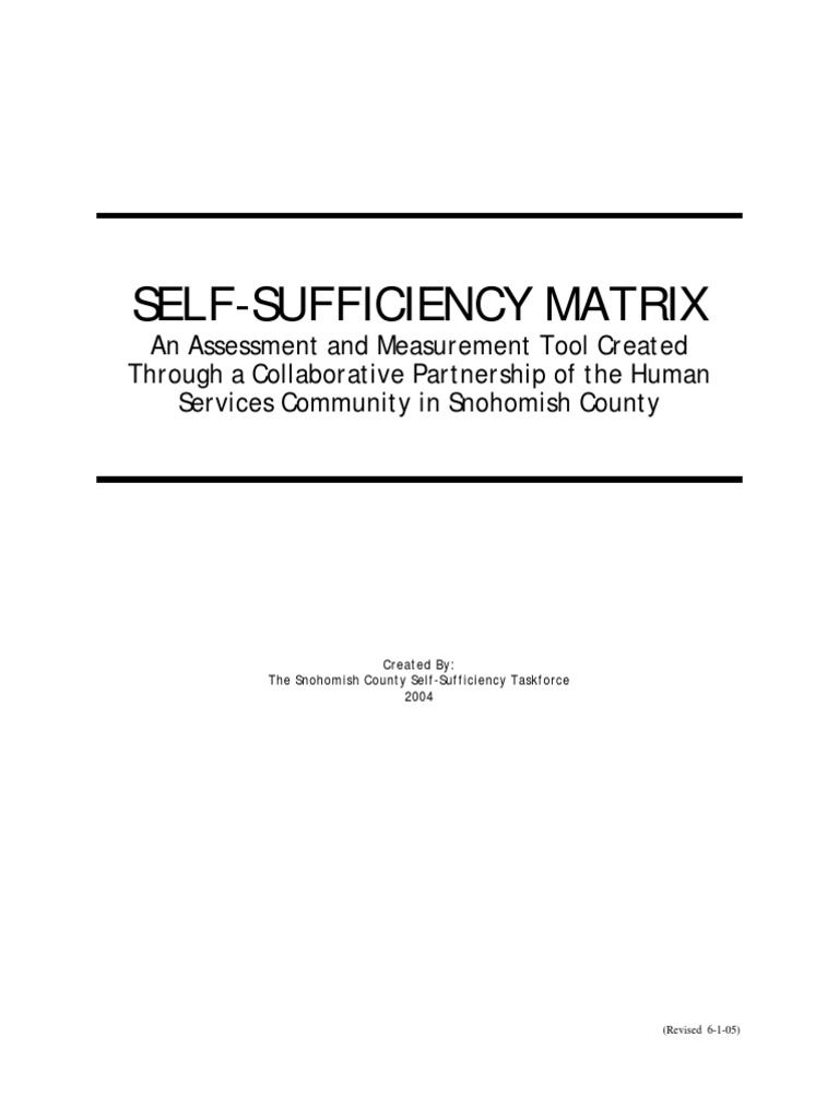 Self-Sufficiency Matrix | PDF | Substance Abuse | Parenting