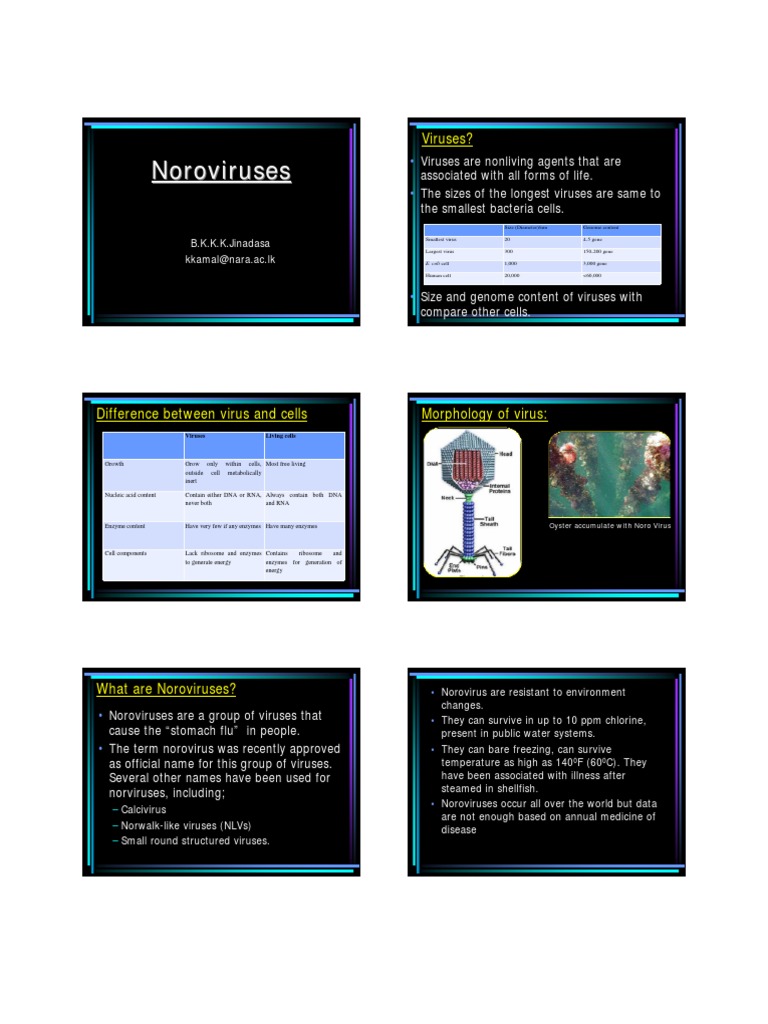 Norovirus | PDF | Virus | Cell (Biology)