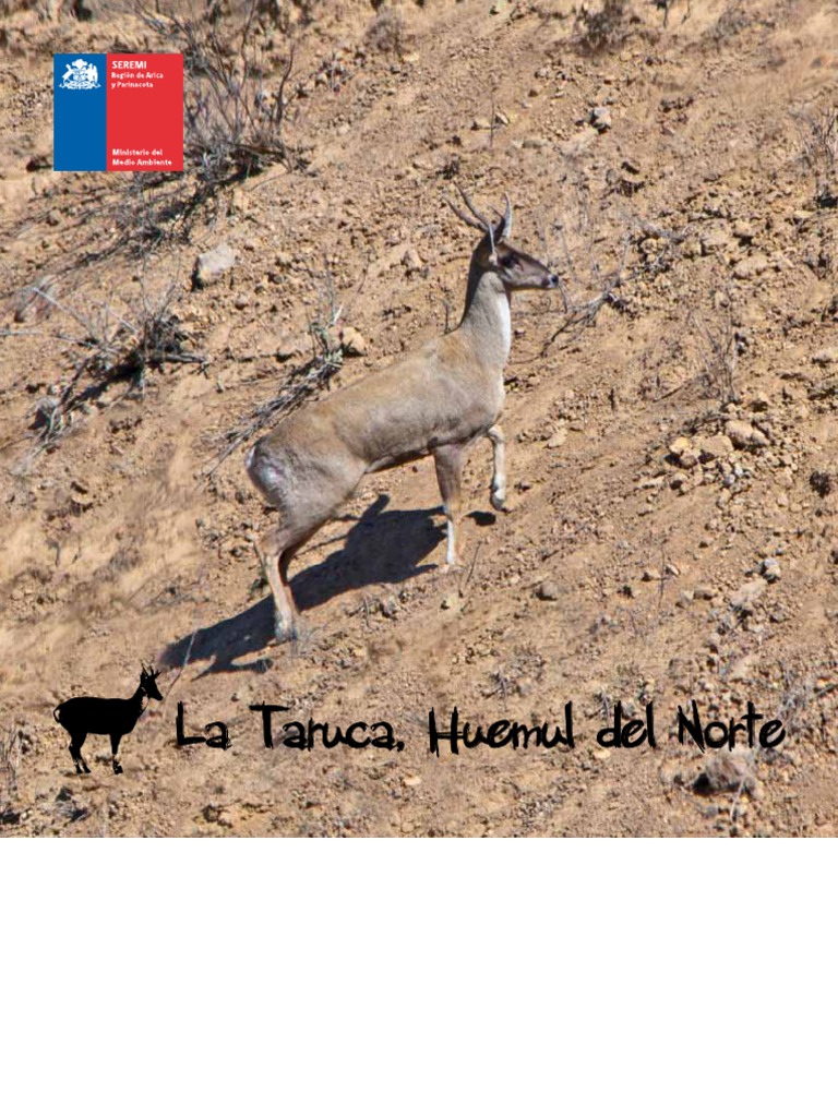 La Taruca | PDF | Biodiversidad | Conservación
