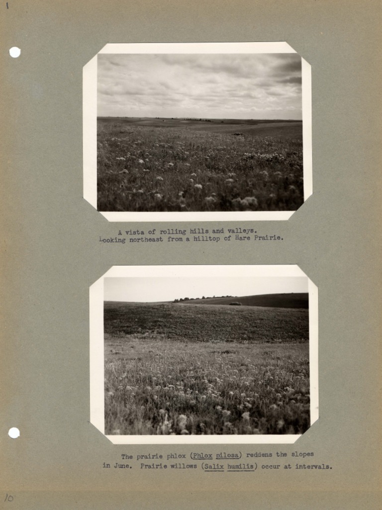 Hayden Photographs of Iowa Prairies | PDF
