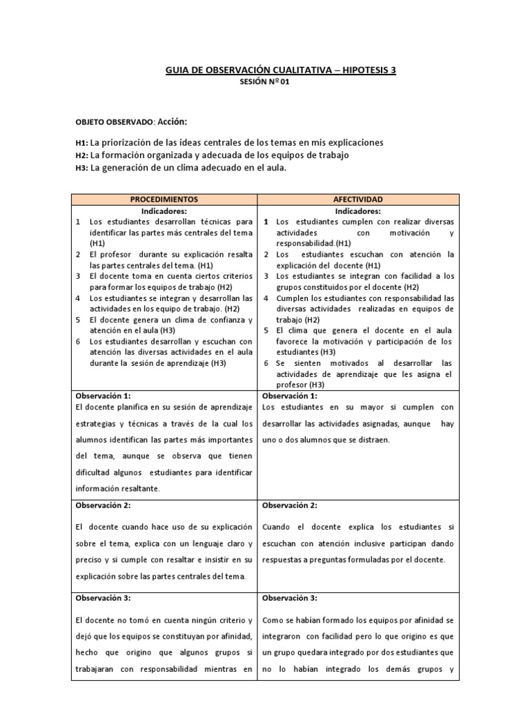 Guia de Observaci N Cualitativa | PDF | Motivación | Motivacional