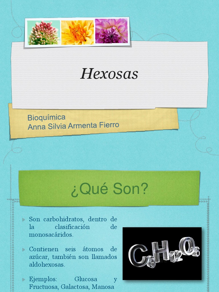 Hexosas | Glucosa | Sacarosa | Prueba gratuita de 30 días | Scribd