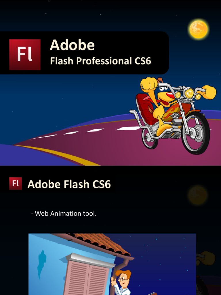 Adobe Flash CS6 - Introduction | PDF