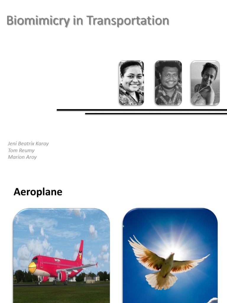 Biomimicry in Transportation | PDF