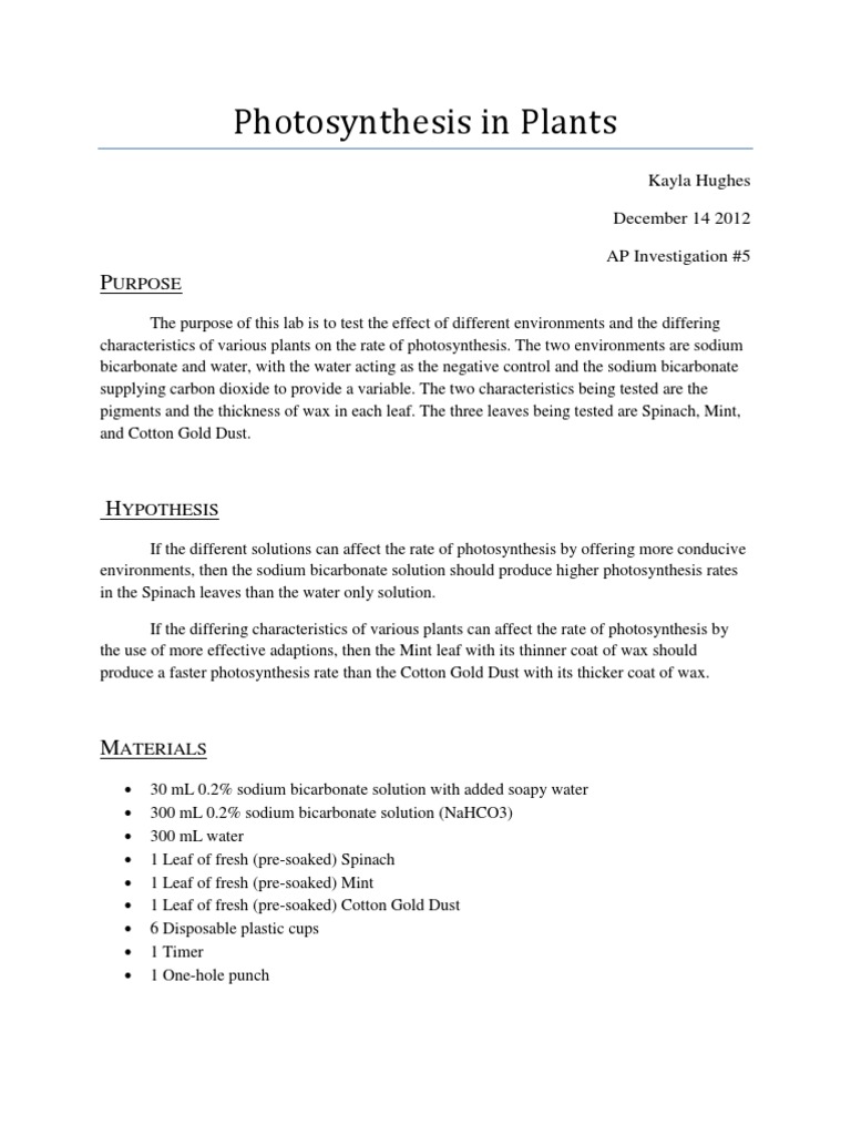 Photosynthesis in Plants | Photosynthesis | Chart