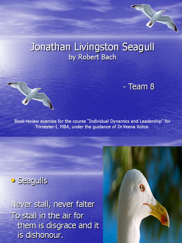 Leadership Lessons from Jonathan Seagull | PDF | Leadership | Self ...