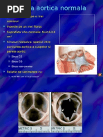 Model Referat Medical | PDF | Health Care | Social Science