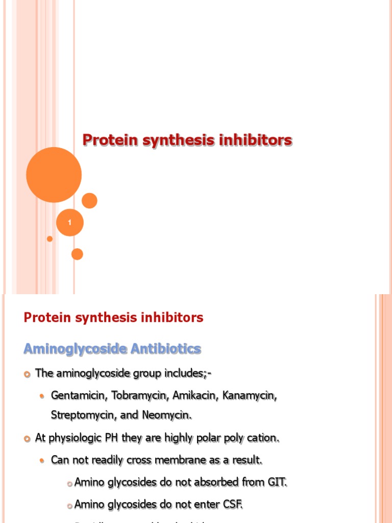 Protein Synthesis Inhibitors | PDF | Ribosome | Translation (Biology)