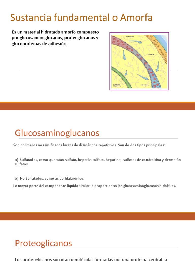 Sustancia Fundamental o Amorfa | Descargar gratis PDF | Tejido ...