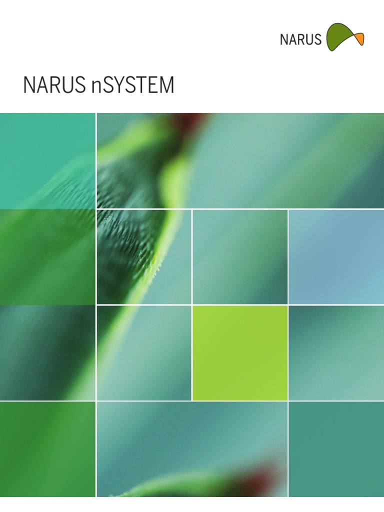 Narus nSYSTEM Brochure | PDF | Analytics | Computer Network
