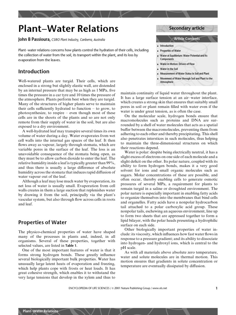 Plant Water Relations PDF | Download Free PDF | Stoma | Pressure