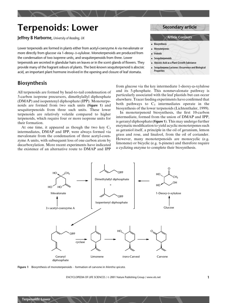 Terpenoids Lower.pdf | Plant Hormone | Plants