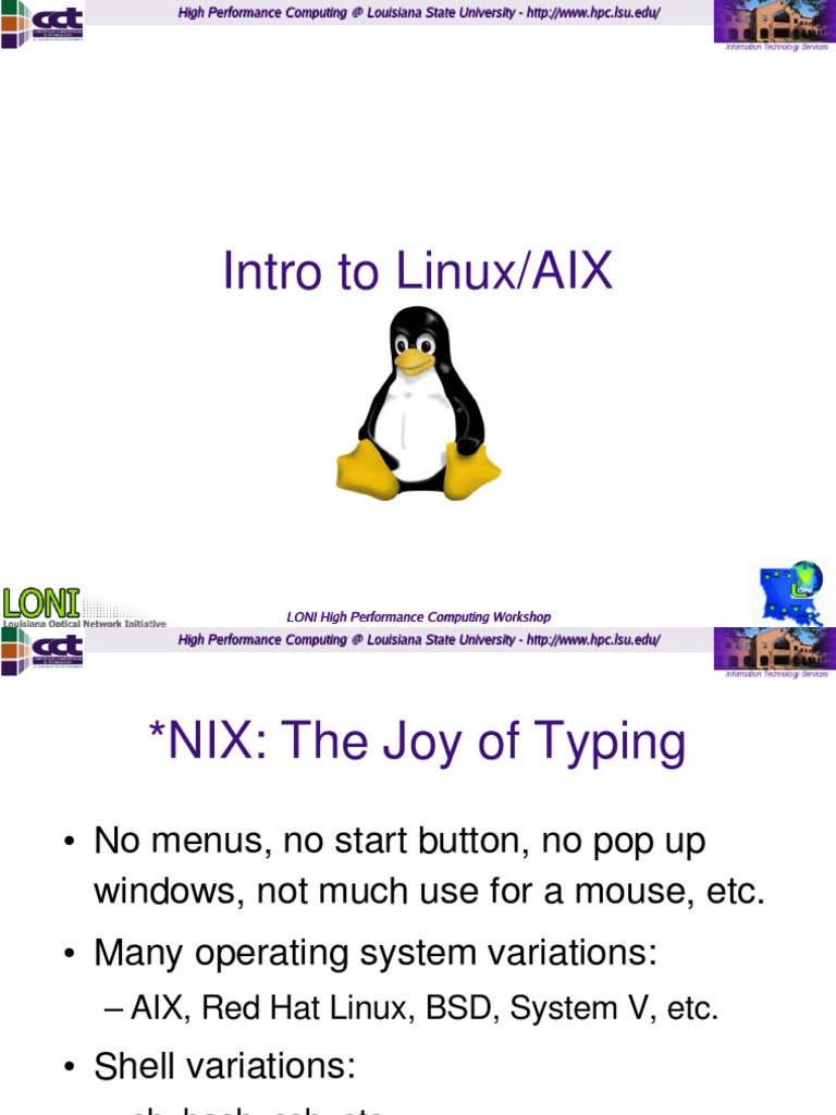 Intro To Linux/AIX: Information Technology Services | PDF | Computer File | Operating System ...