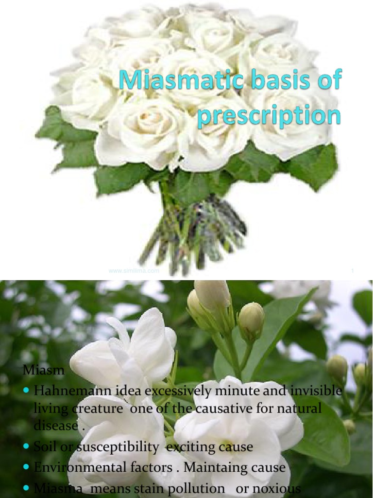 Understanding Miasms and Their Role in Homoeopathic Treatment | PDF ...