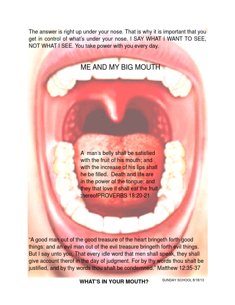 Me and My Big Mouth 2 | PDF