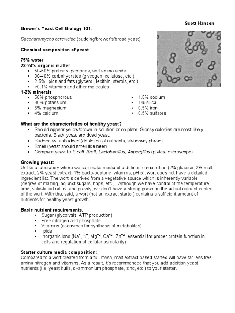 Yeast Cell Biology | PDF | Yeast | Carbohydrates