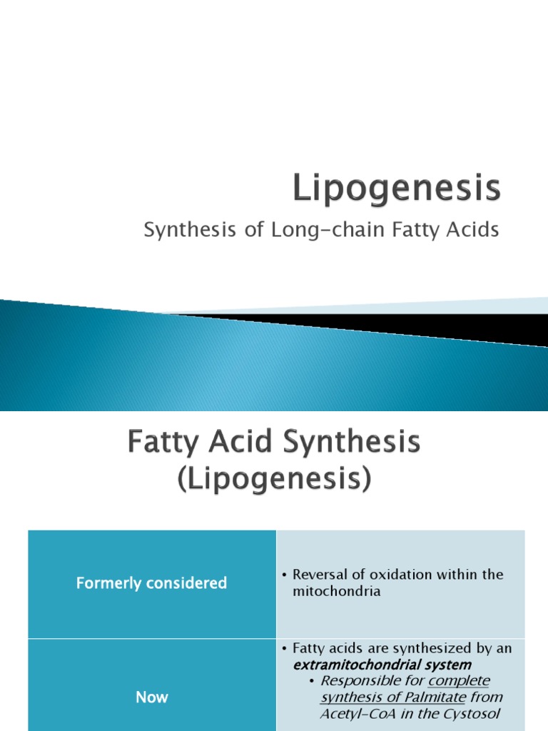 Lipogenesis | Biosynthesis | Fatty Acid