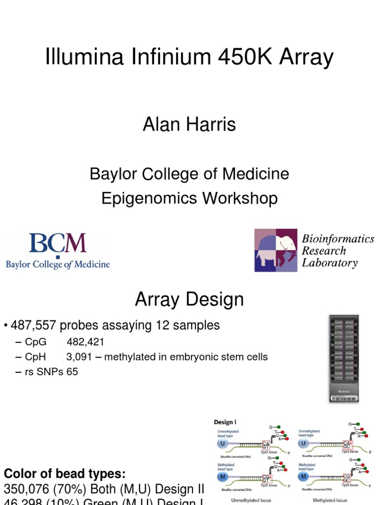 Raharris - Illumina Infinium 450K Array | PDF | Dna Methylation ...