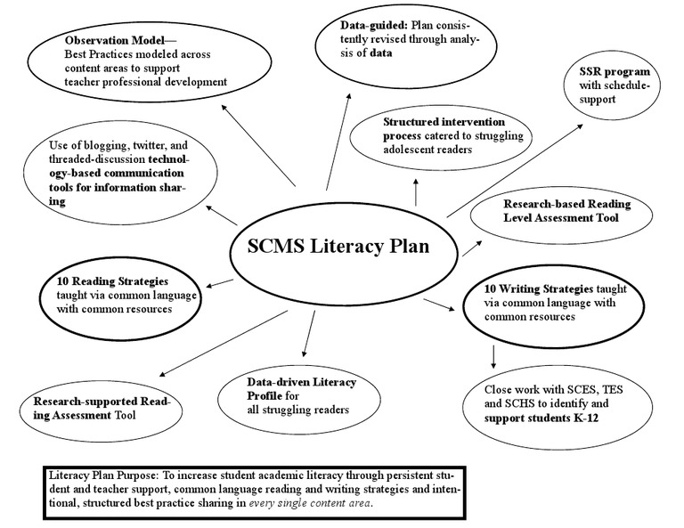 Literacy Plan Overview | PDF