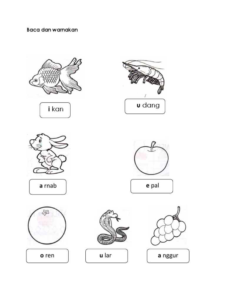 Baca Dan Warnakan | PDF