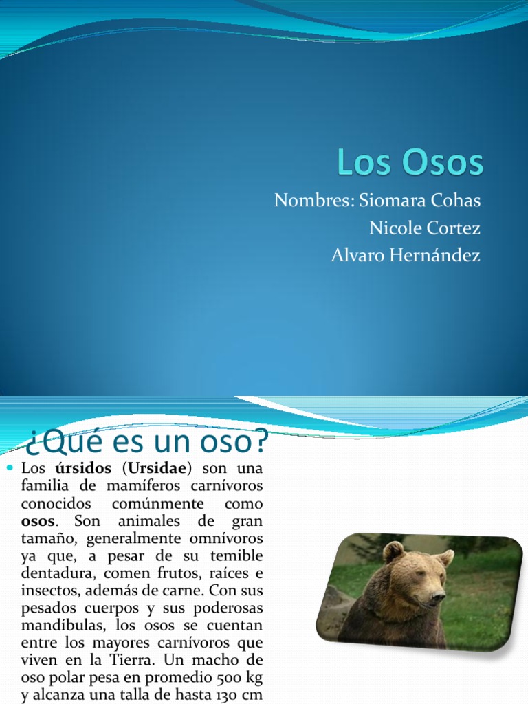 Los Osos | PDF | Osos | Organismos