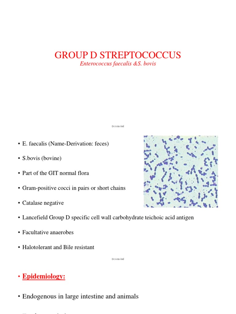 Enterococcus or Group D Streptococci | PDF