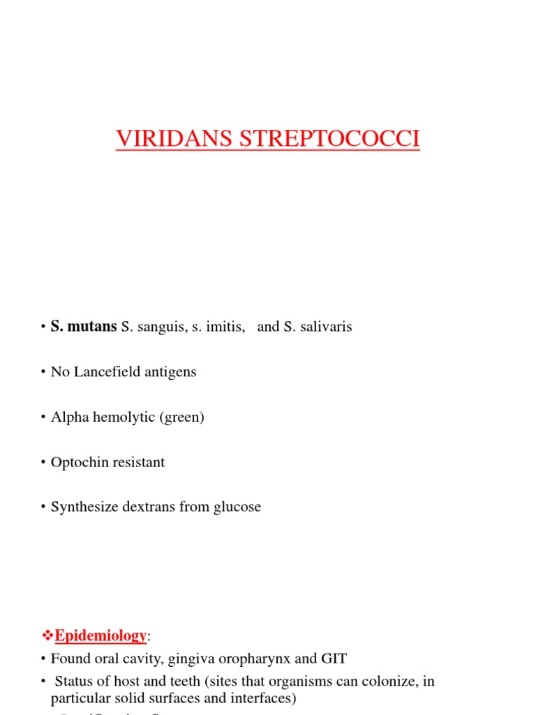 Streptococcus Viridans | PDF
