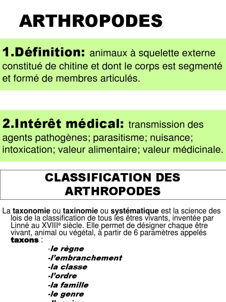 Classification des Arthropodes | PDF | Insectes | Moustique