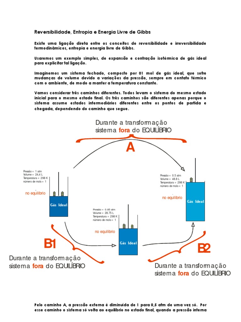 Reversibilidade, Entropia e Energia Livre | PDF