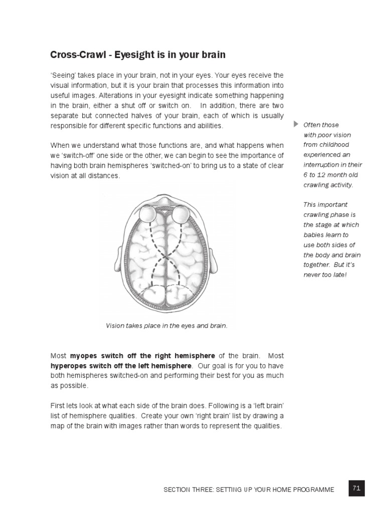 The Whole Brain From Practical Guide To Natural Vision Improvement Ebook | PDF | Visual ...