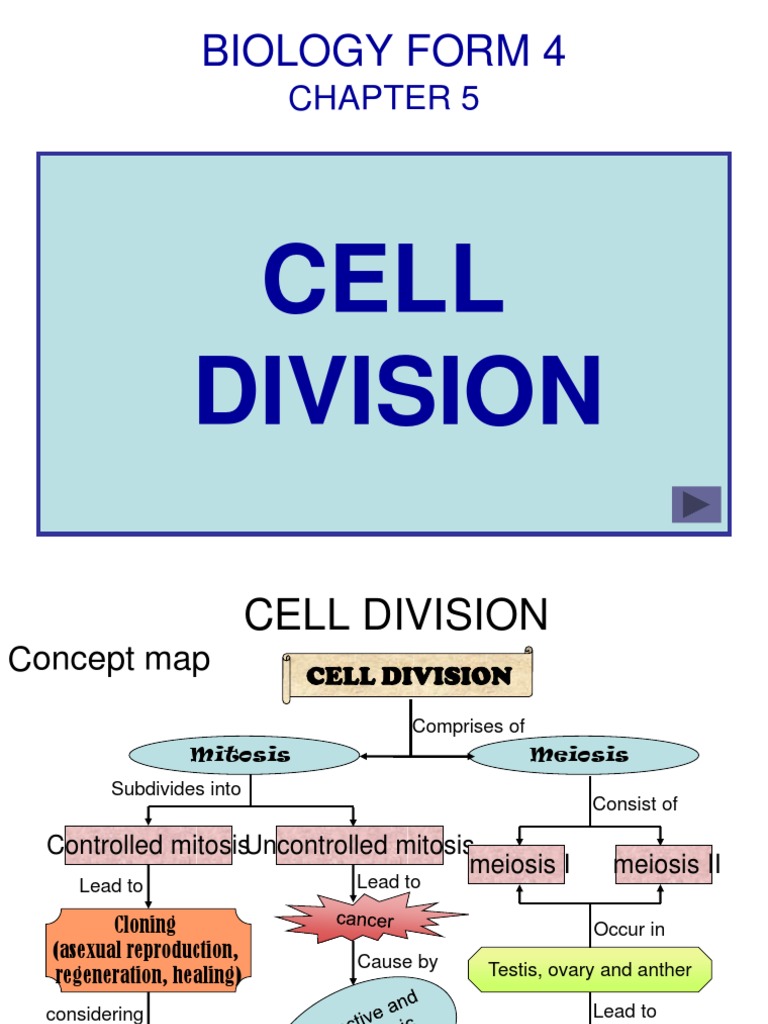 Cell Division Concept Map