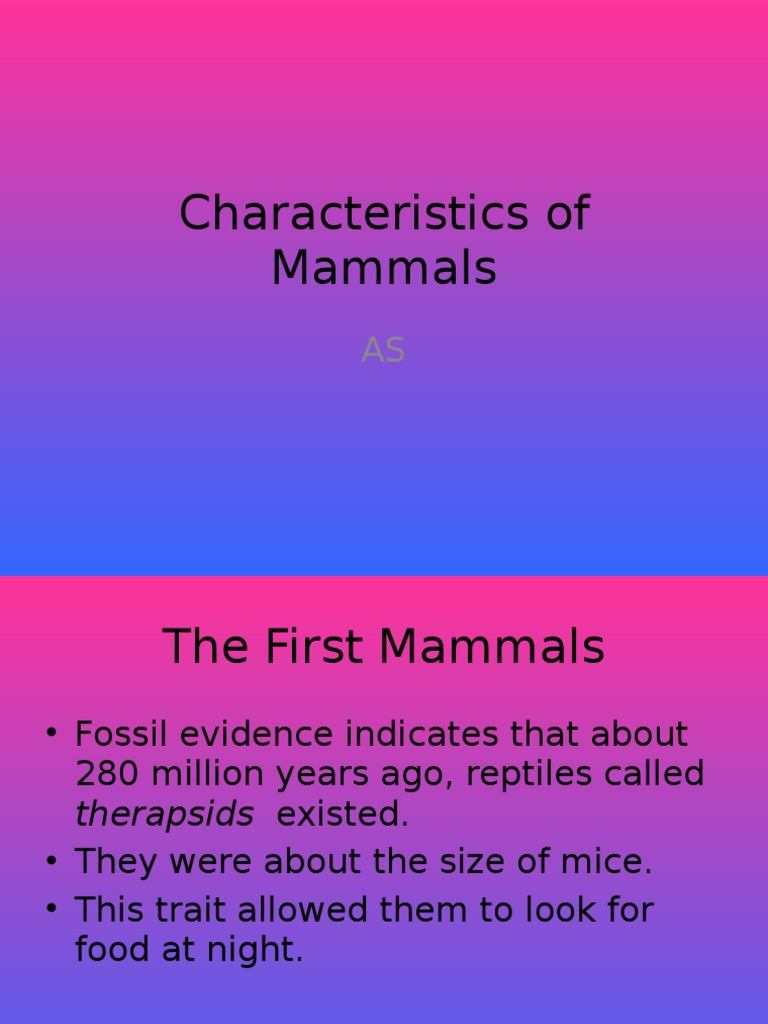 Key Characteristics of Mammals | PDF | Science & Mathematics