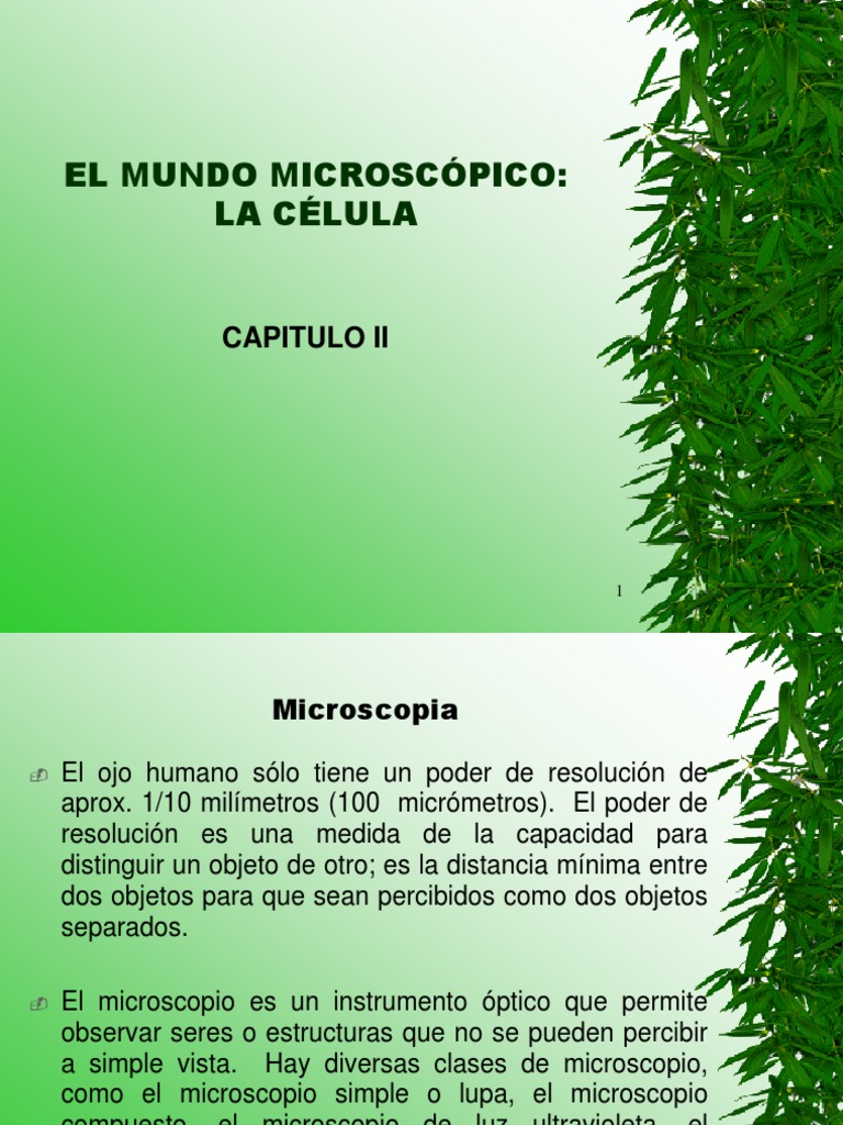 El Mundo Microscopico | PDF | Lisosoma | Biología Celular)
