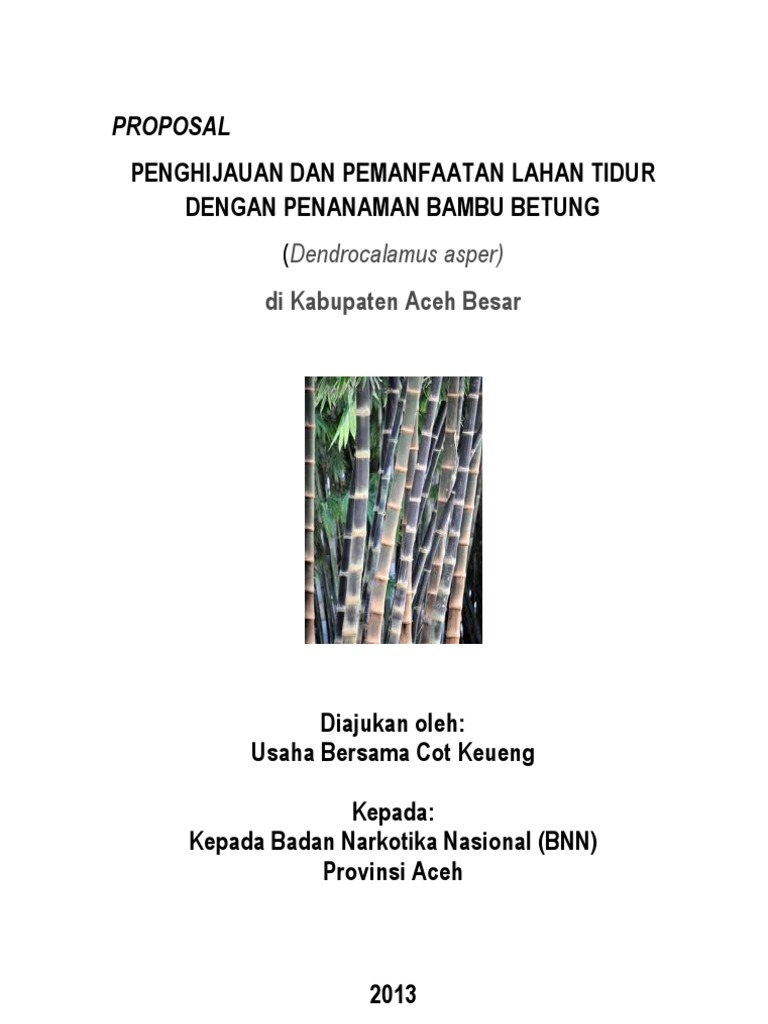 Proposal Budidaya Bambu Betung | PDF