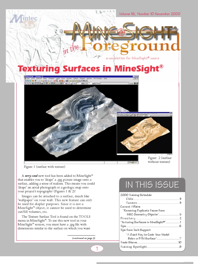 Ms3d Texture Surface Tool 200011 Pdf Texture Mapping Stereoscopy
