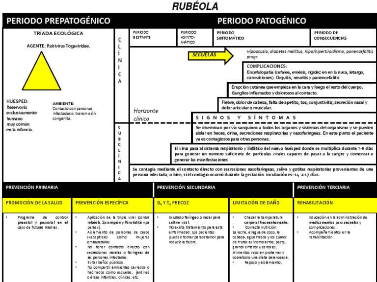 Rubéola Cuadro Completo | PDF | Ciencias de la Salud | Rtt