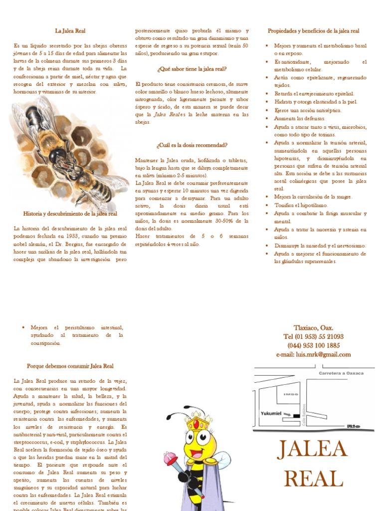 Triptico Jalea Real | PDF | Abejas | Miel