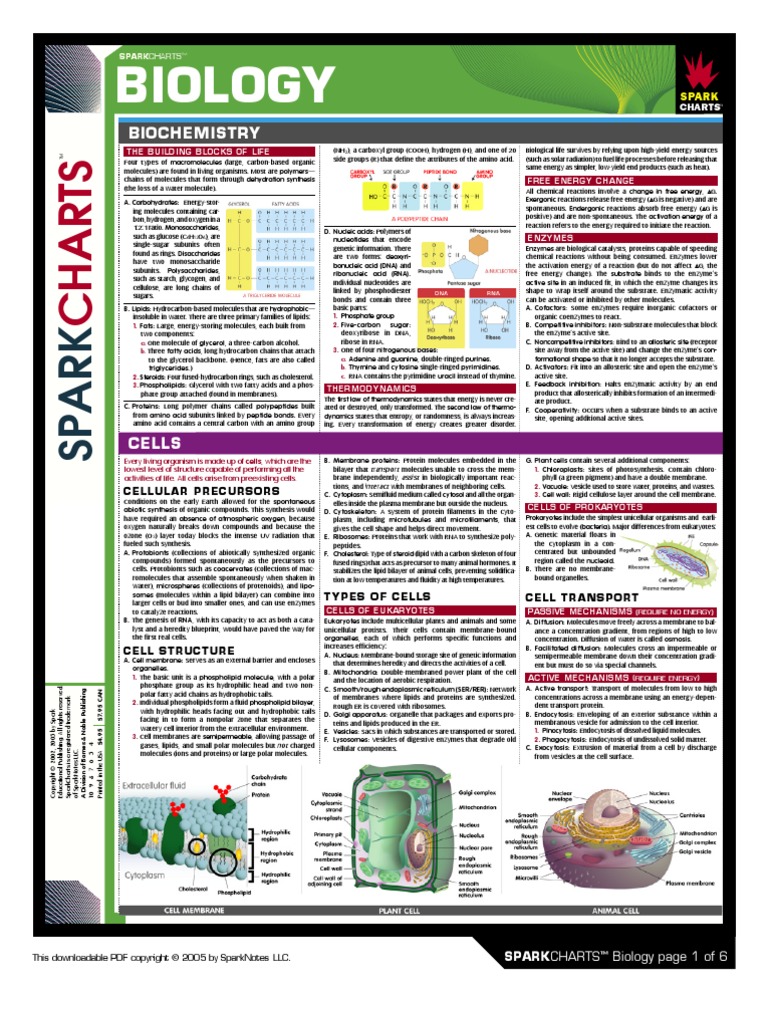 Biology Spark Charts | PDF