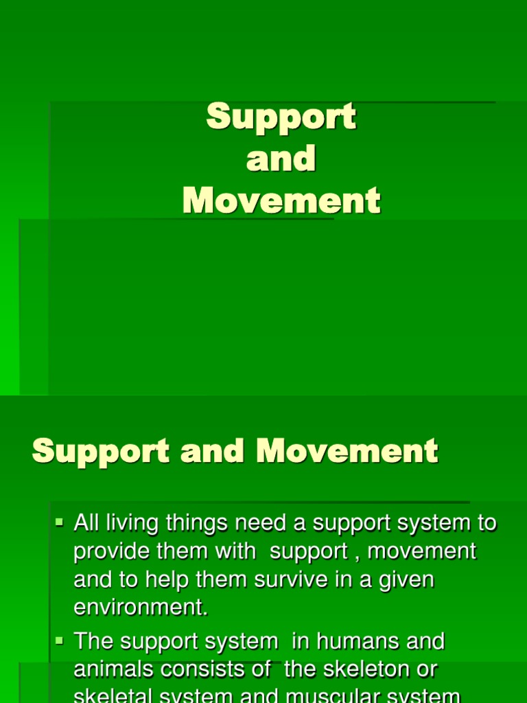 Support and Movement | PDF | Skeleton | Vertebral Column