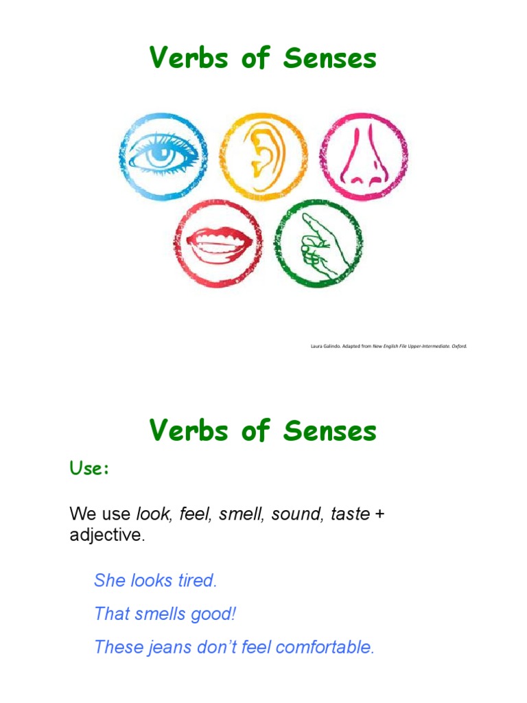 Verbs of Senses: Laura Galindo. Adapted From New English File Upper ...