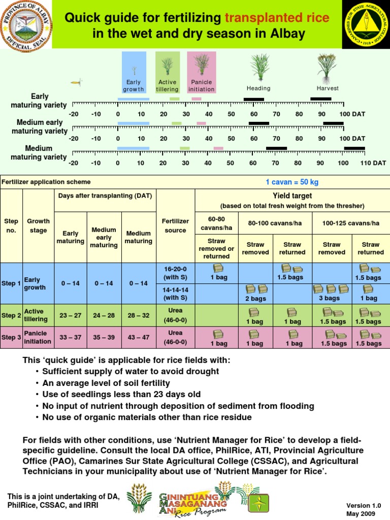 Quick Guide For Fertilizing Transplanted Rice | PDF | Asset Management ...