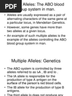 Blood Typing Problems Answer Key | PDF | Genotype | Hematology