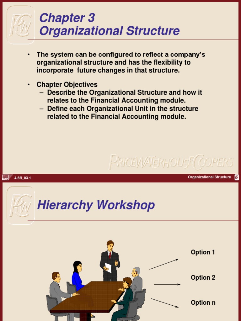 Configuring the Organizational Structure in SAP to Reflect a Company's ...