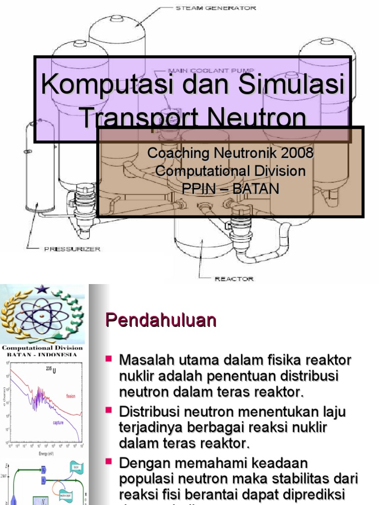 Transport Neutron | PDF