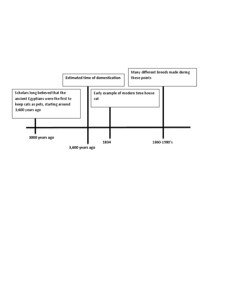 Cat Timeline | PDF | Cats | Domesticated Animals