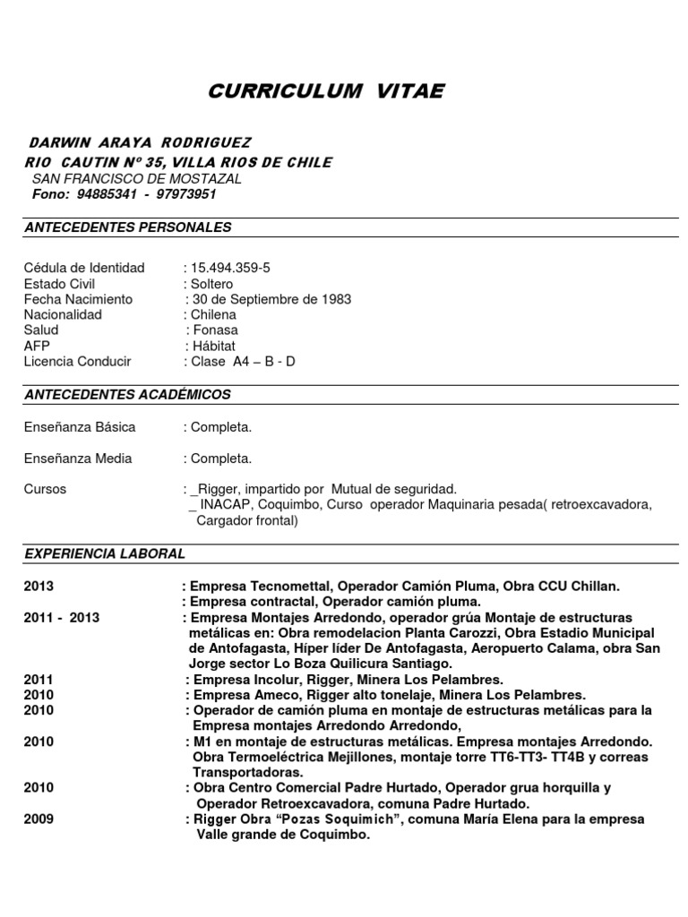 CURRICULUM Darwin Araya | PDF | Venta al por menor | Minoristas