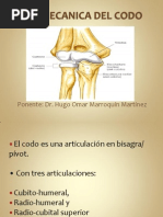 Mano de Predicador | PDF | Mano | Anatomía humana