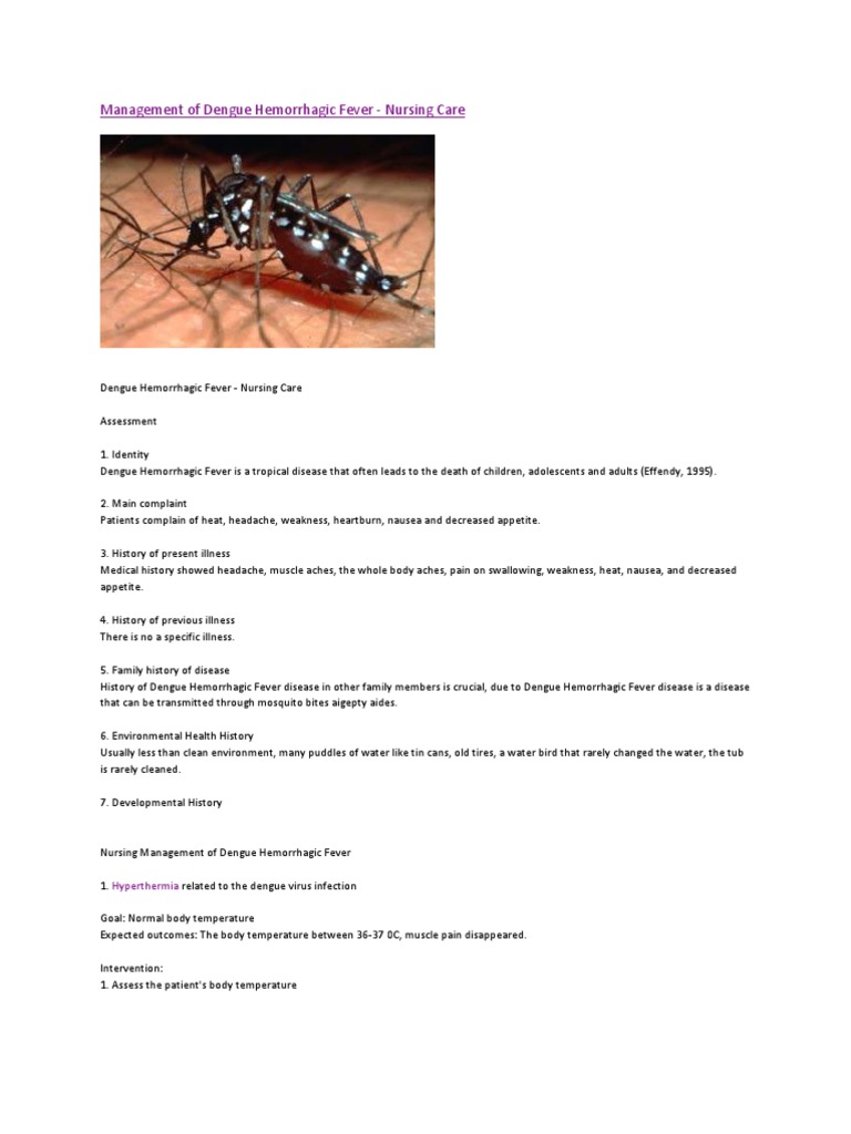 Nursing Diagnosis and Interventions for the Management of Dengue ...