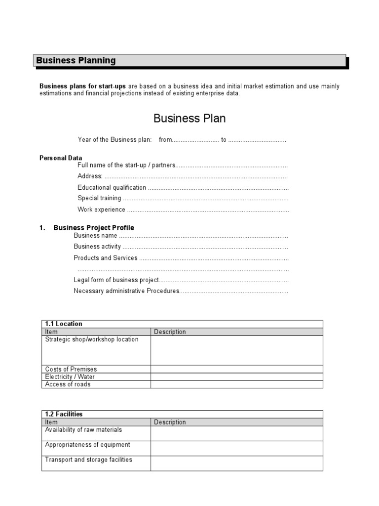Business Plan Guide | PDF