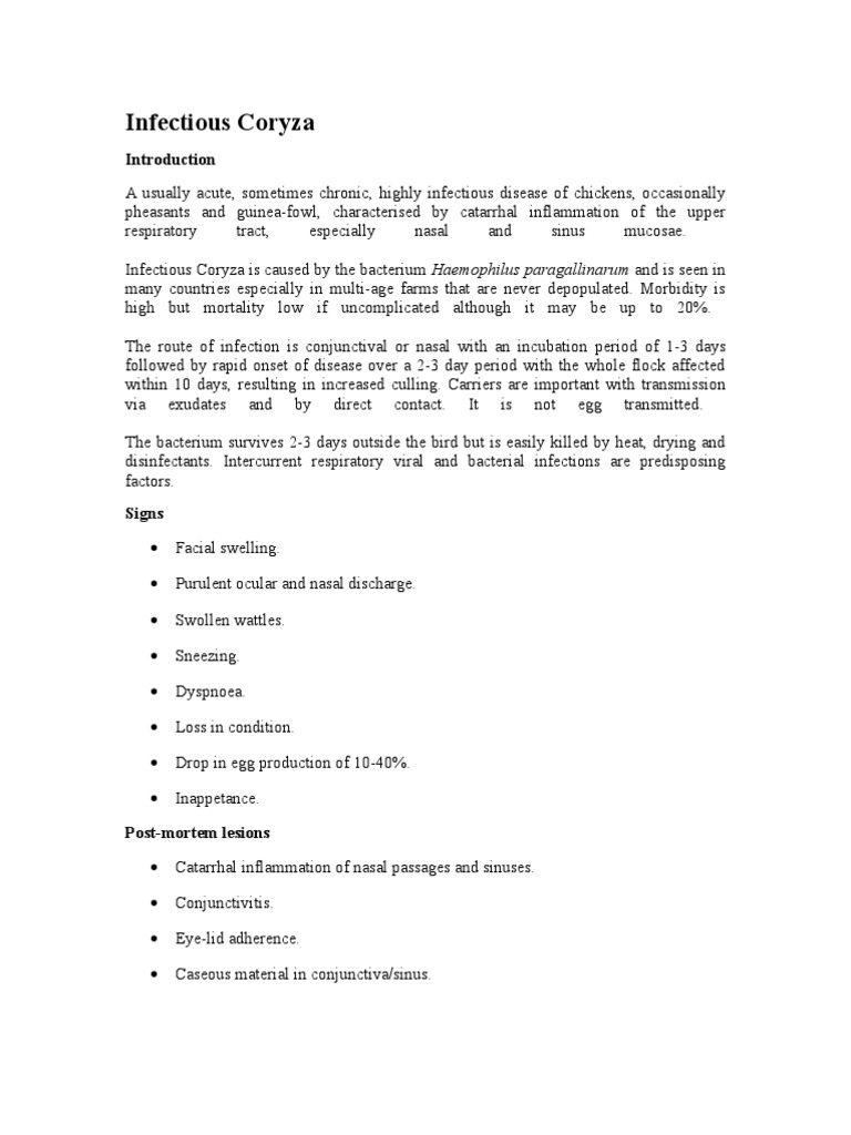 Infectious Coryza | PDF | Infection | Sheep